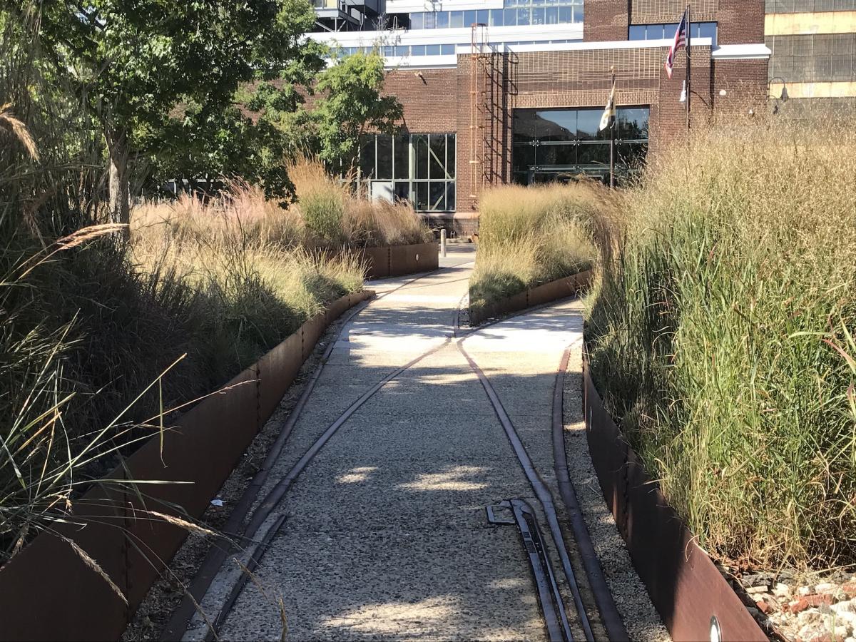 Julie Bargmann Wins Inaugural Oberlander Prize