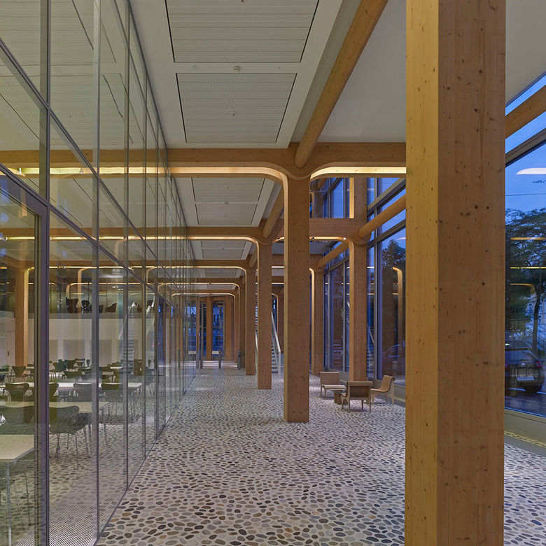 Tamedia's Timber Structure