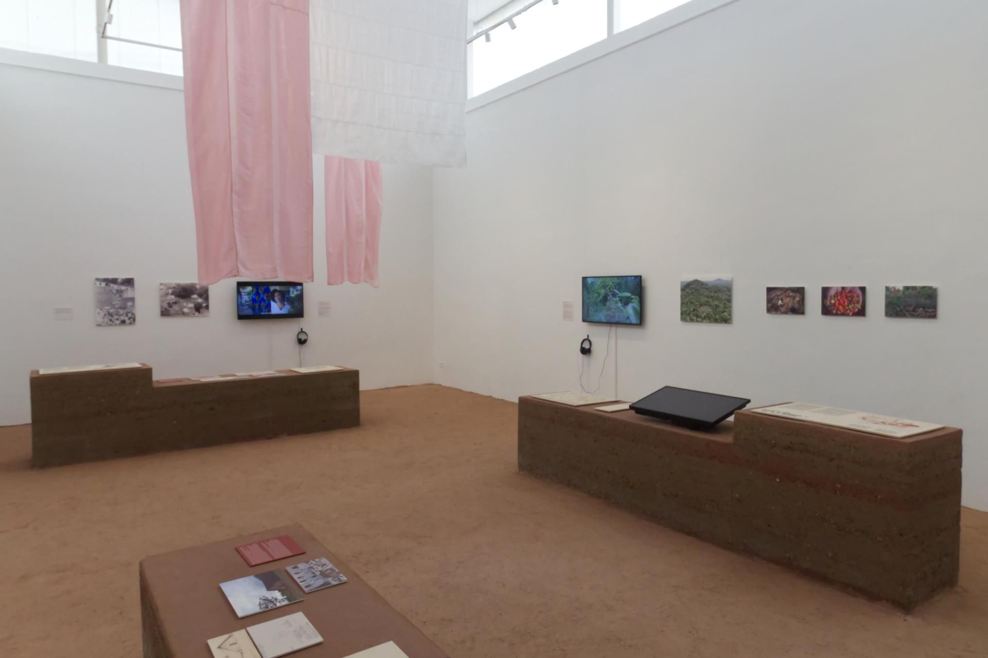 Winners of the Golden Lions Announced - Topics