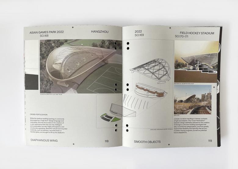 Strange Objects, New Solids and Massive Things