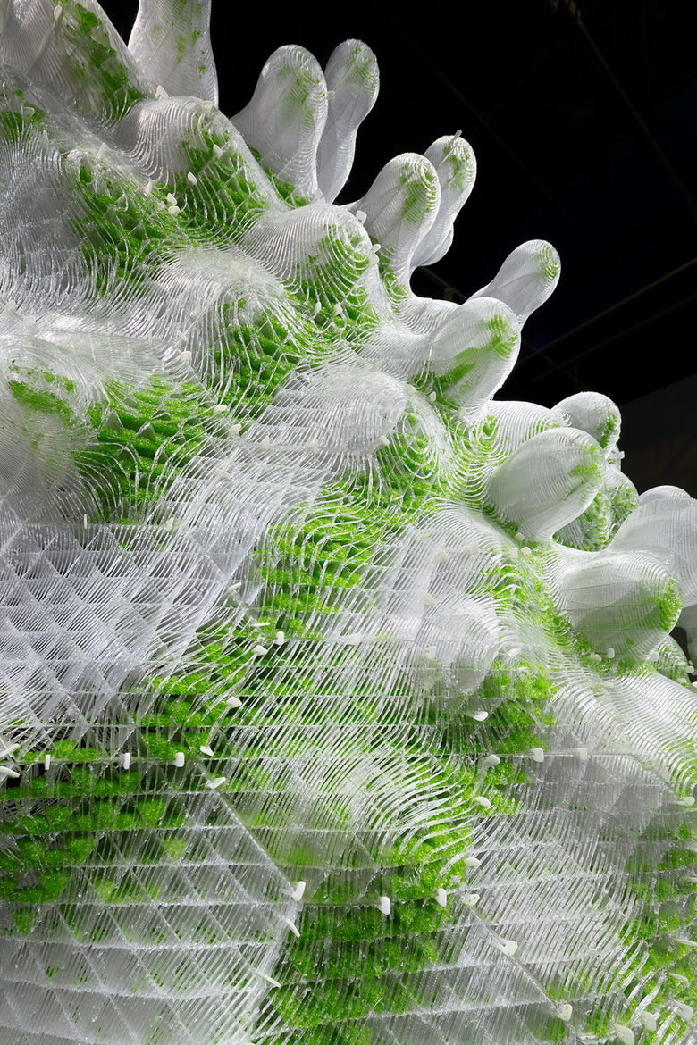 Is This the Future of Living Walls?