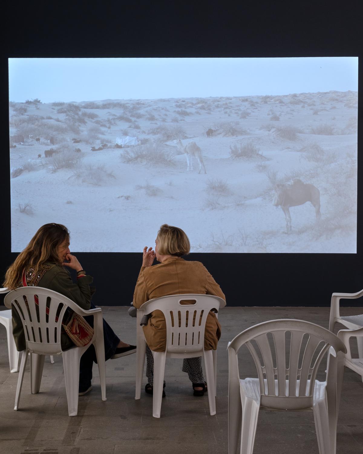 Die Architekturbiennale in Bildern - Themen
