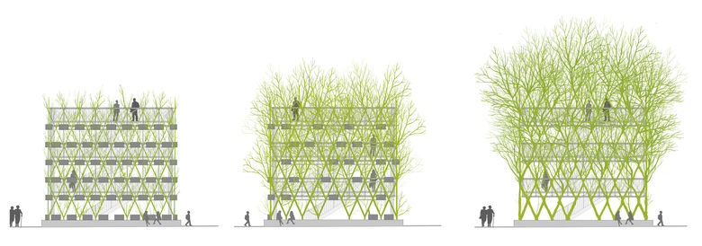 Growing a New Society