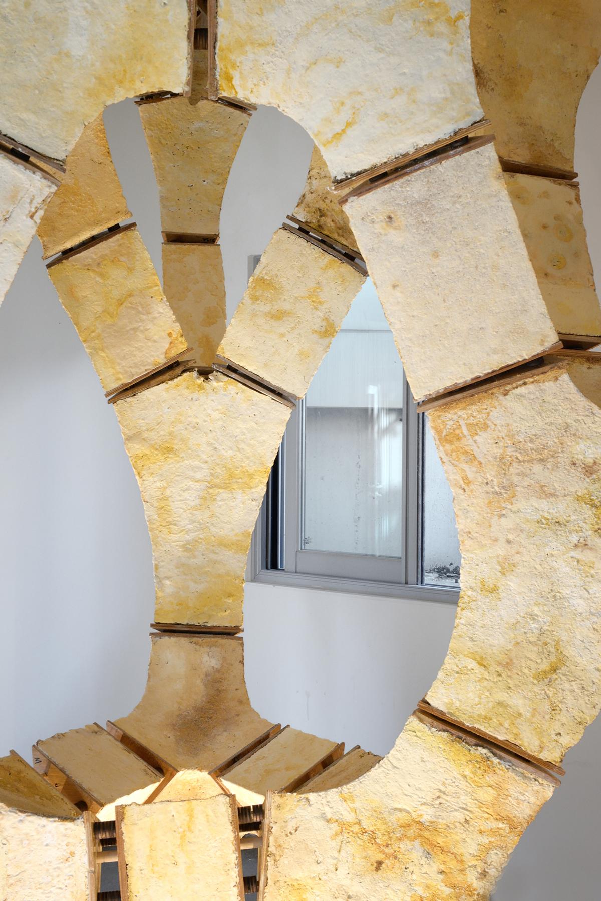 MycoTree - KIT Karlsruhe + ETH Zürich + Singapore-ETH Centre