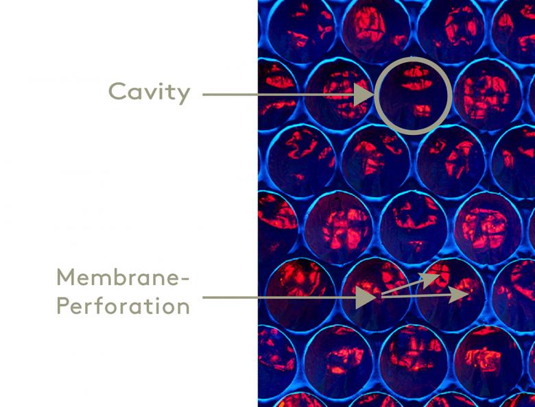 Concrete 'Bubbles' Made from Bubble Wrap