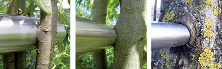 Growing a New Society