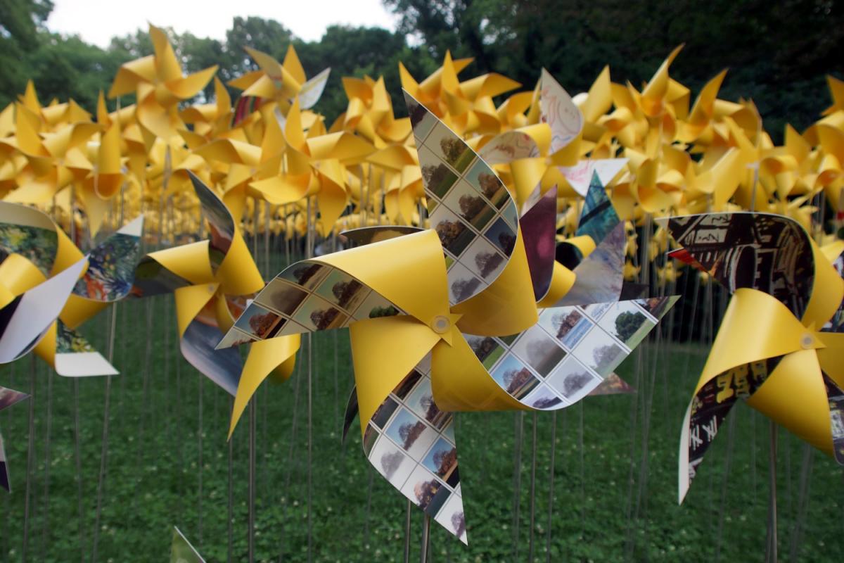 The Pinwheels of Brooklyn
