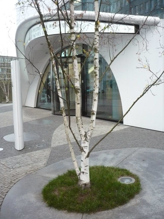 Außenanlagen und Dachgarten Science Center Medizintechnik Gnädinger ...