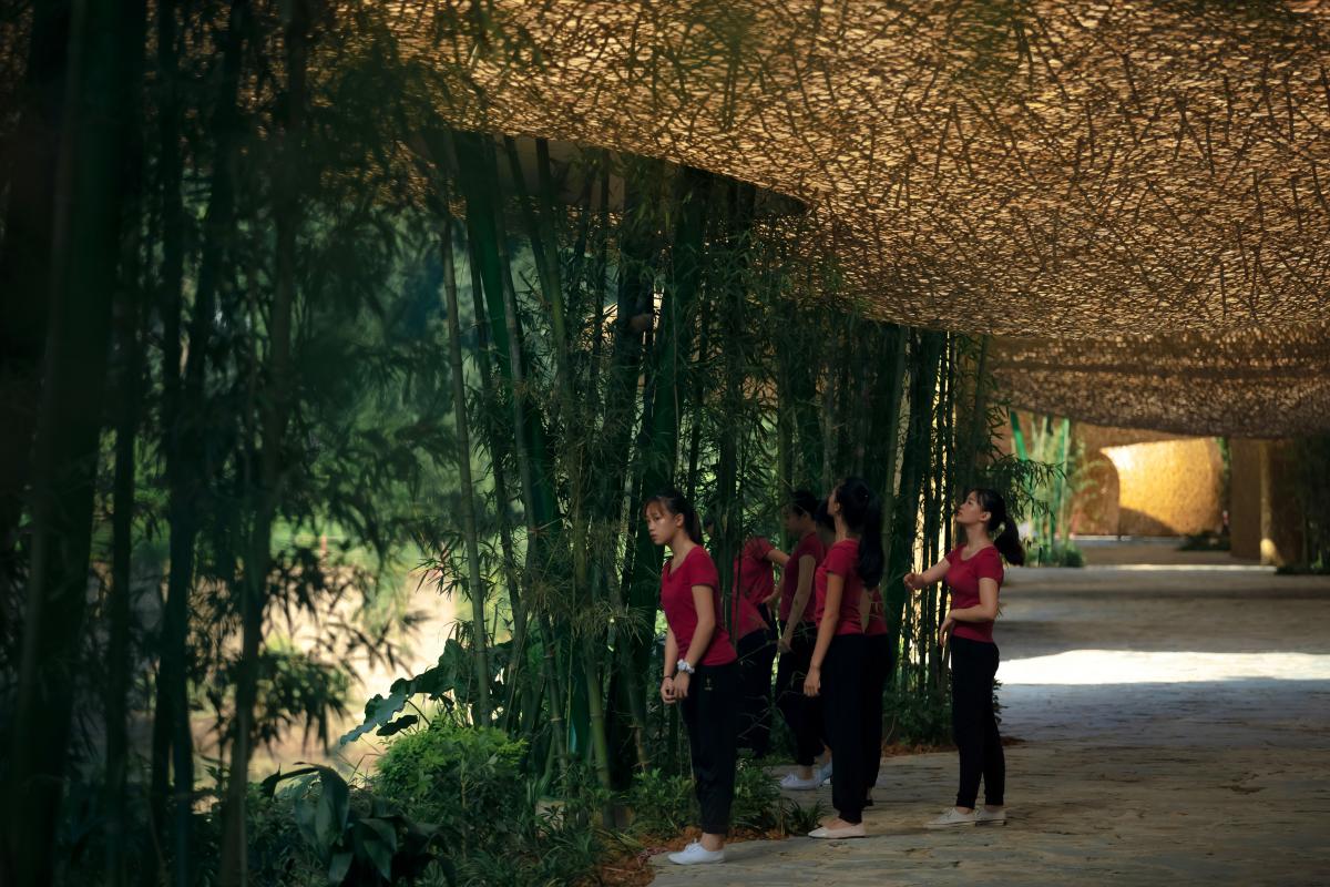 Bamboo Bamboo Canopy and Pavilions LLLab.