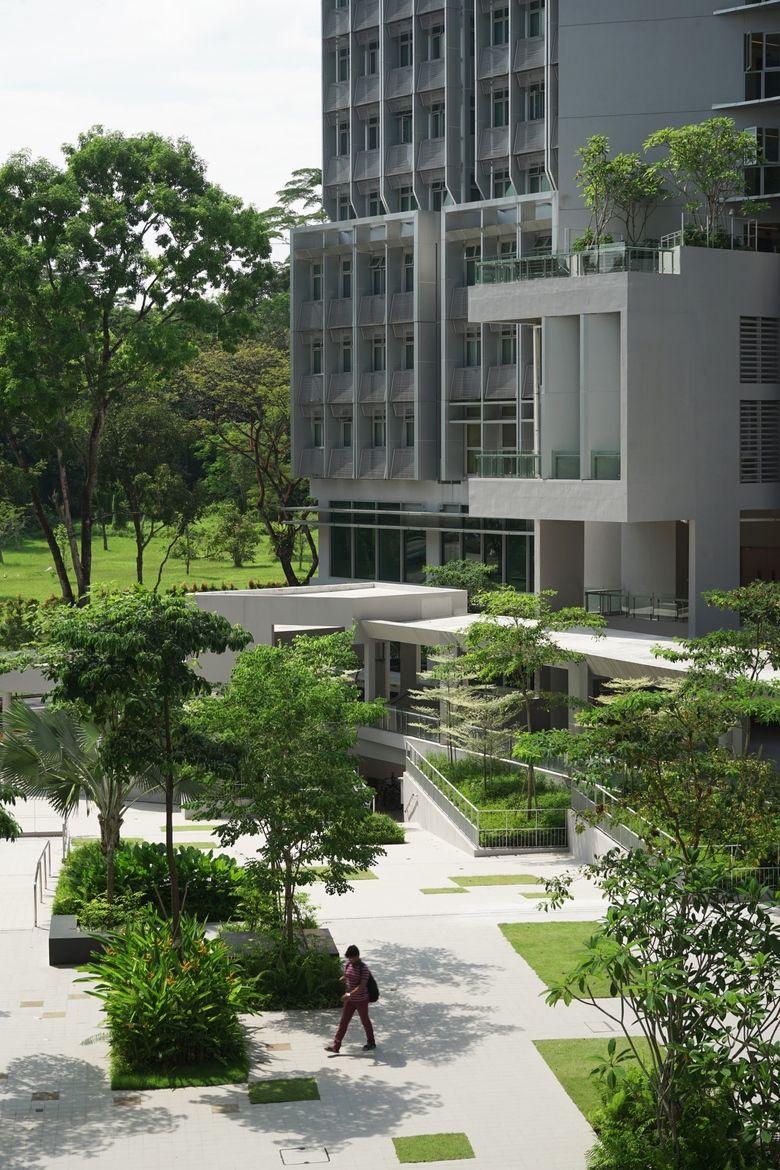 Nanyang Technological University (NTU) North Hill STX Landscape Architects