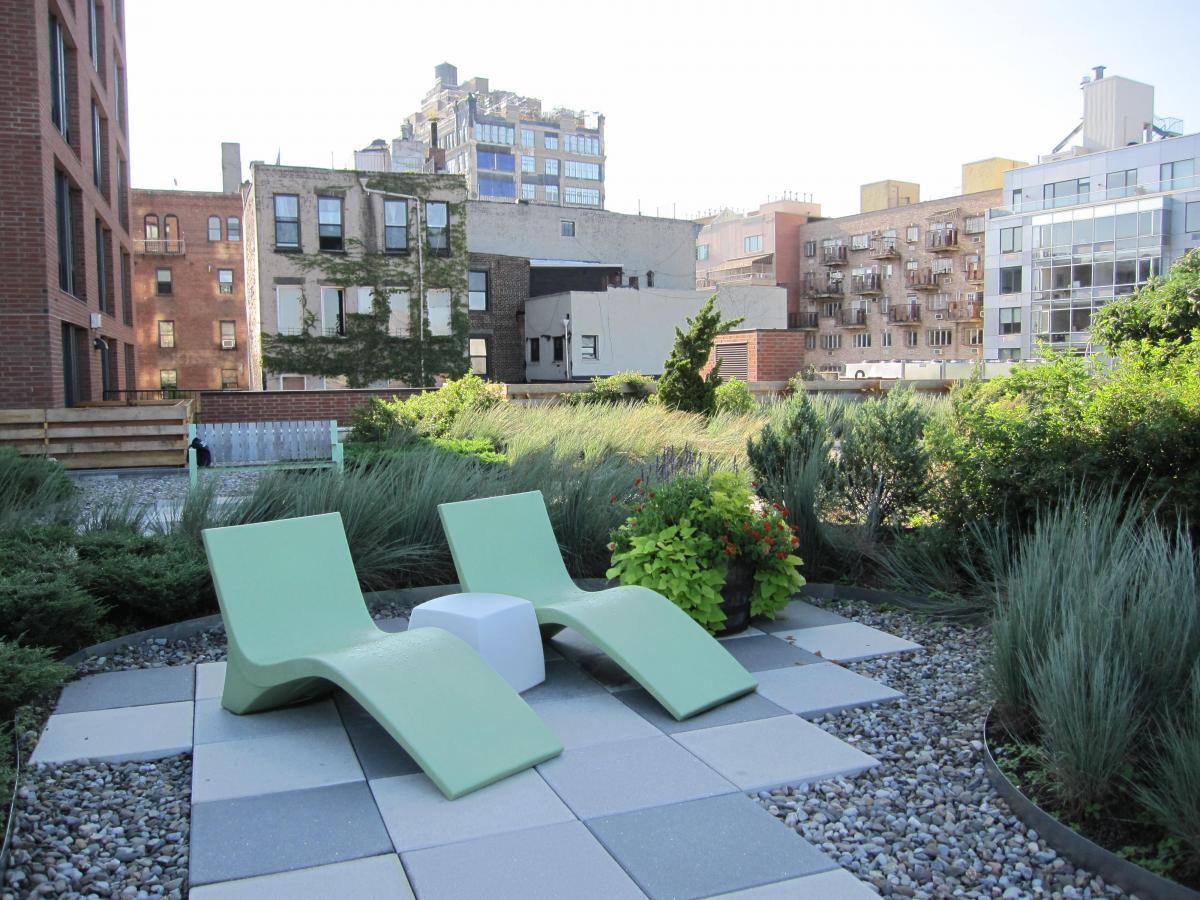 Williamsburg High-Rise Green Roof Starr Whitehouse Landscape Architects ...