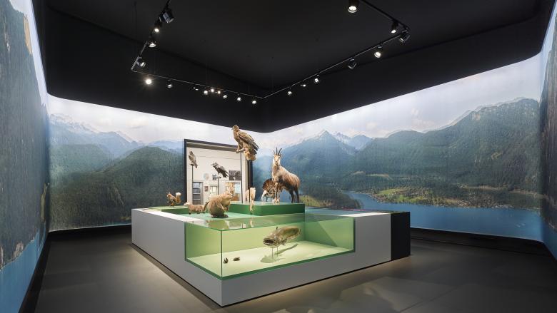 Museum der Bayerischen Geschichte jangled nerves