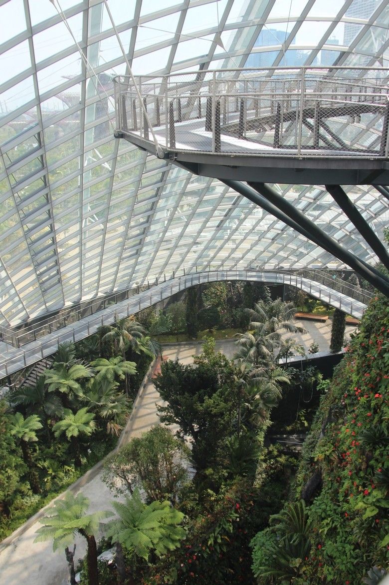 Gardens by the Bay Transsolar KlimaEngineering