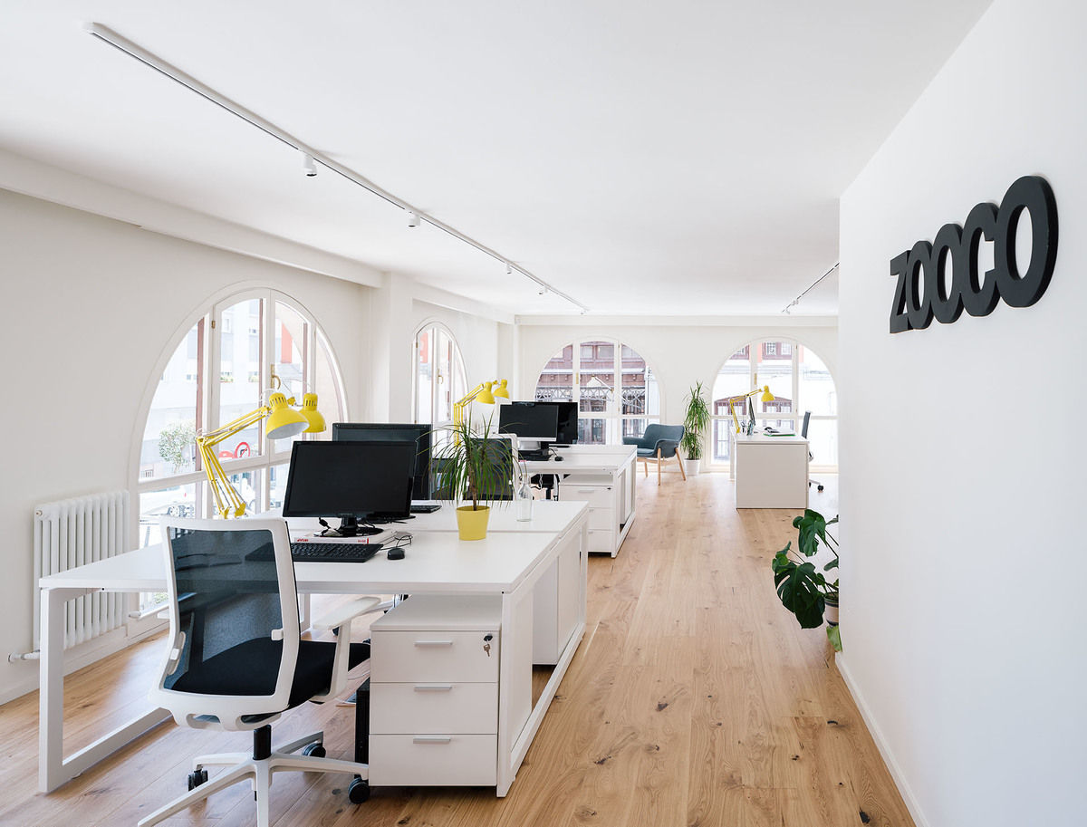 Zooco Santander Estudio Zooco