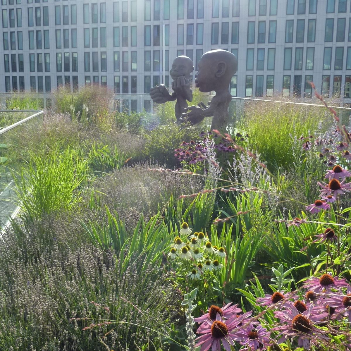 Außenanlagen und Dachgarten Science Center Medizintechnik Gnädinger ...