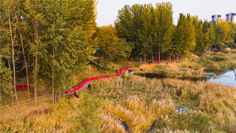 The Red Ribbon — Tanghe River Park Turenscape