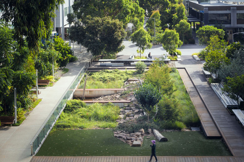 Monash University Western Precinct Landscape Rush\Wright Associates