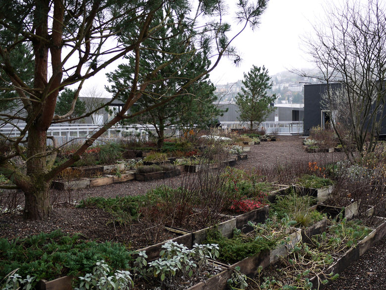 Hochschulcampus Toni-Areal Studio Vulkan Landschaftsarchitektur