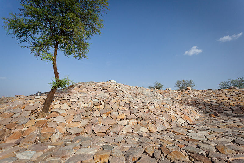 Hathigaon (Housing for Elephants and their Mahouts) RMA Architects