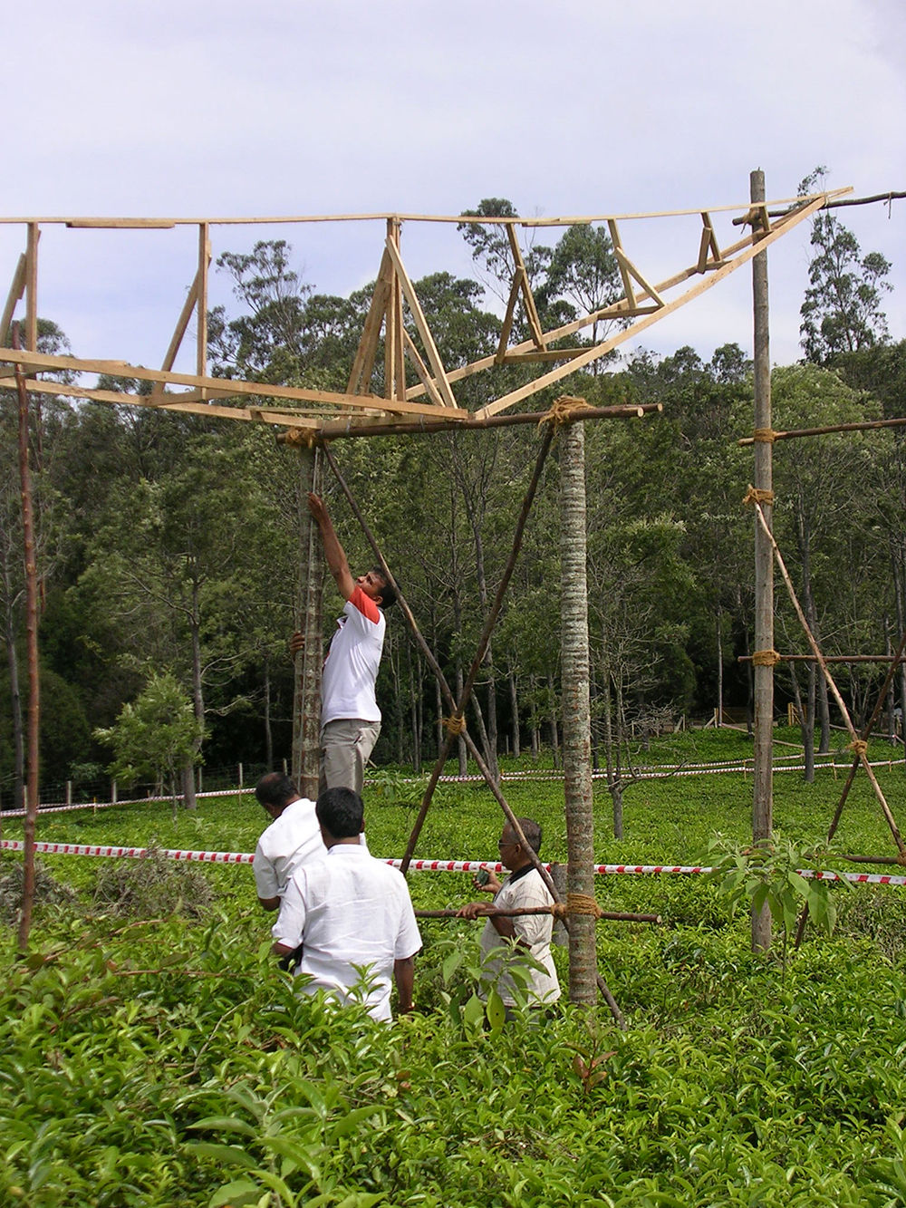 House in a Tea Garden RMA Architects