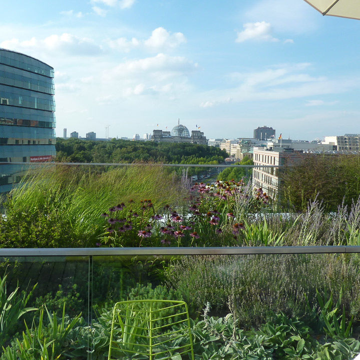 Außenanlagen und Dachgarten Science Center Medizintechnik Gnädinger ...