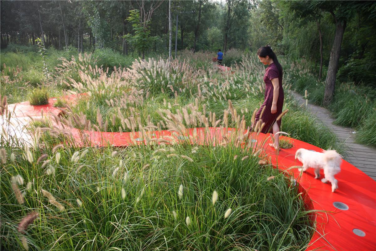 The Red Ribbon — Tanghe River Park Turenscape