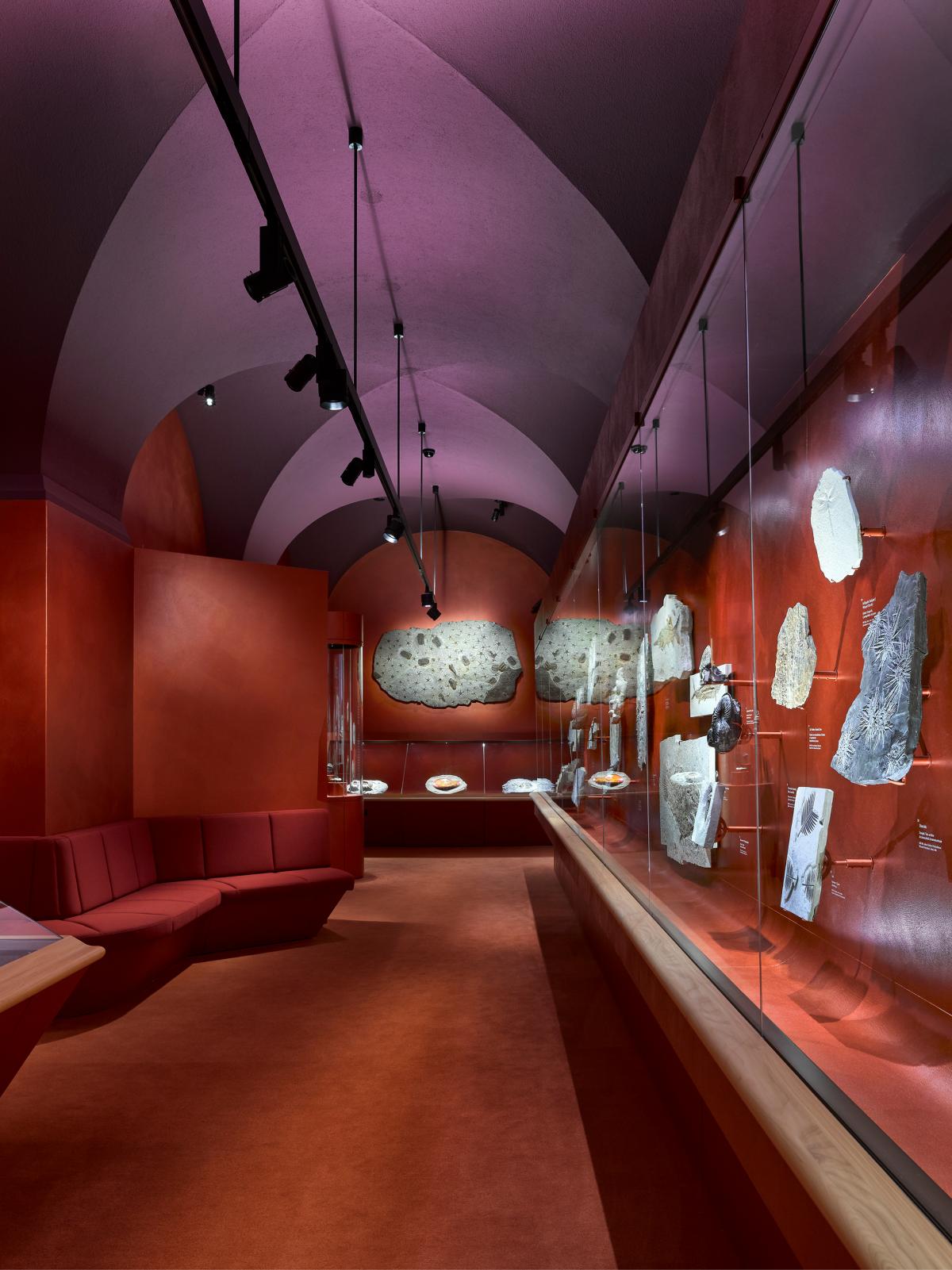 Ausstellung Masterpieces - Meisterwerke der Natur, Zoologisches und ...