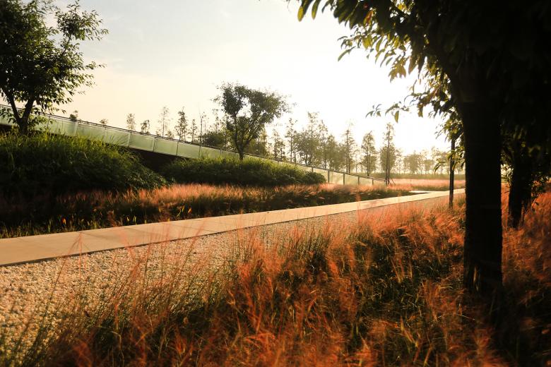 Tongnan Dafosi Wetland Park Turenscape