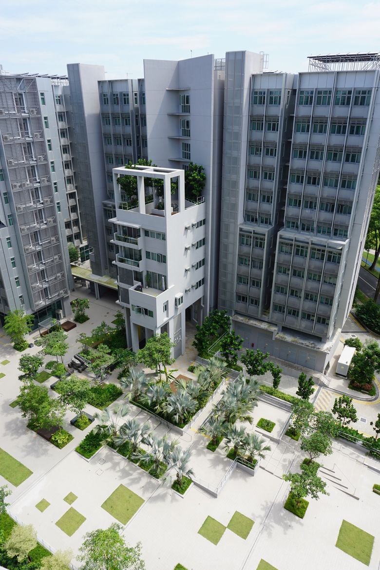 Nanyang Technological University (NTU) North Hill STX Landscape Architects