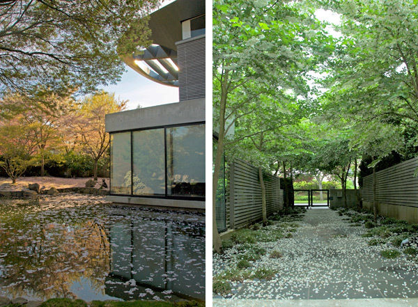 Acadia Residence Revery Architecture