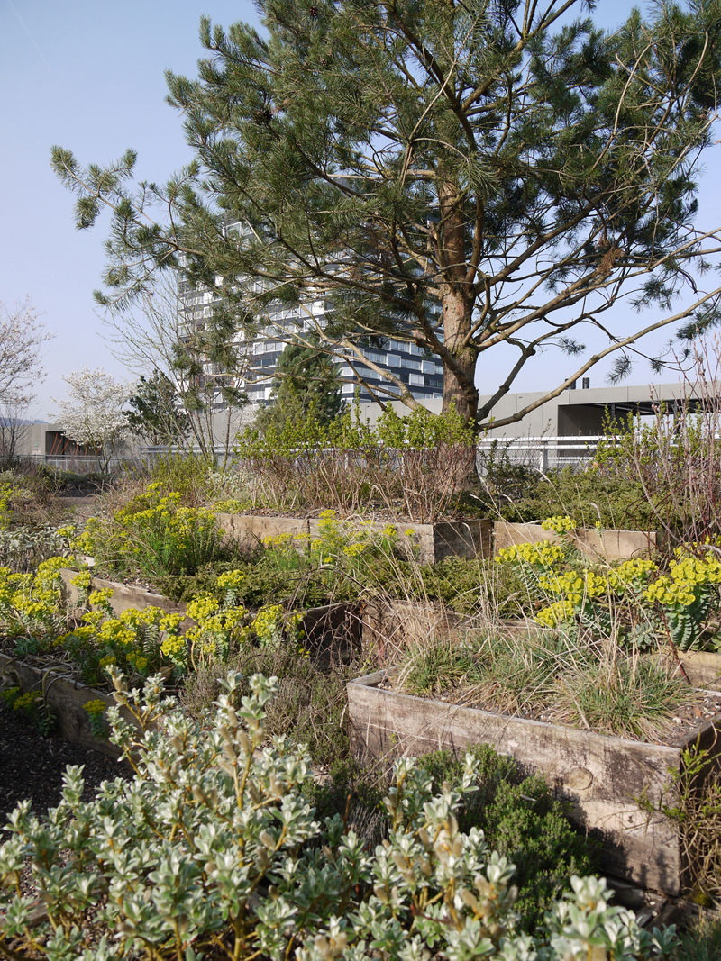 Hochschulcampus Toni-Areal Studio Vulkan Landschaftsarchitektur