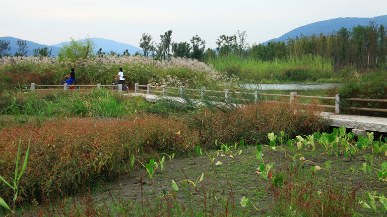 A Typical River Wetland System in Taihu Basin——Wuxi Changguangxi ...