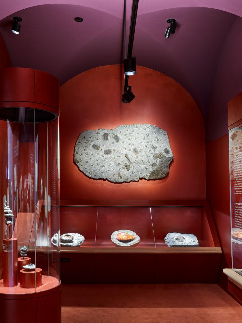 Ausstellung Masterpieces - Meisterwerke der Natur, Zoologisches und ...