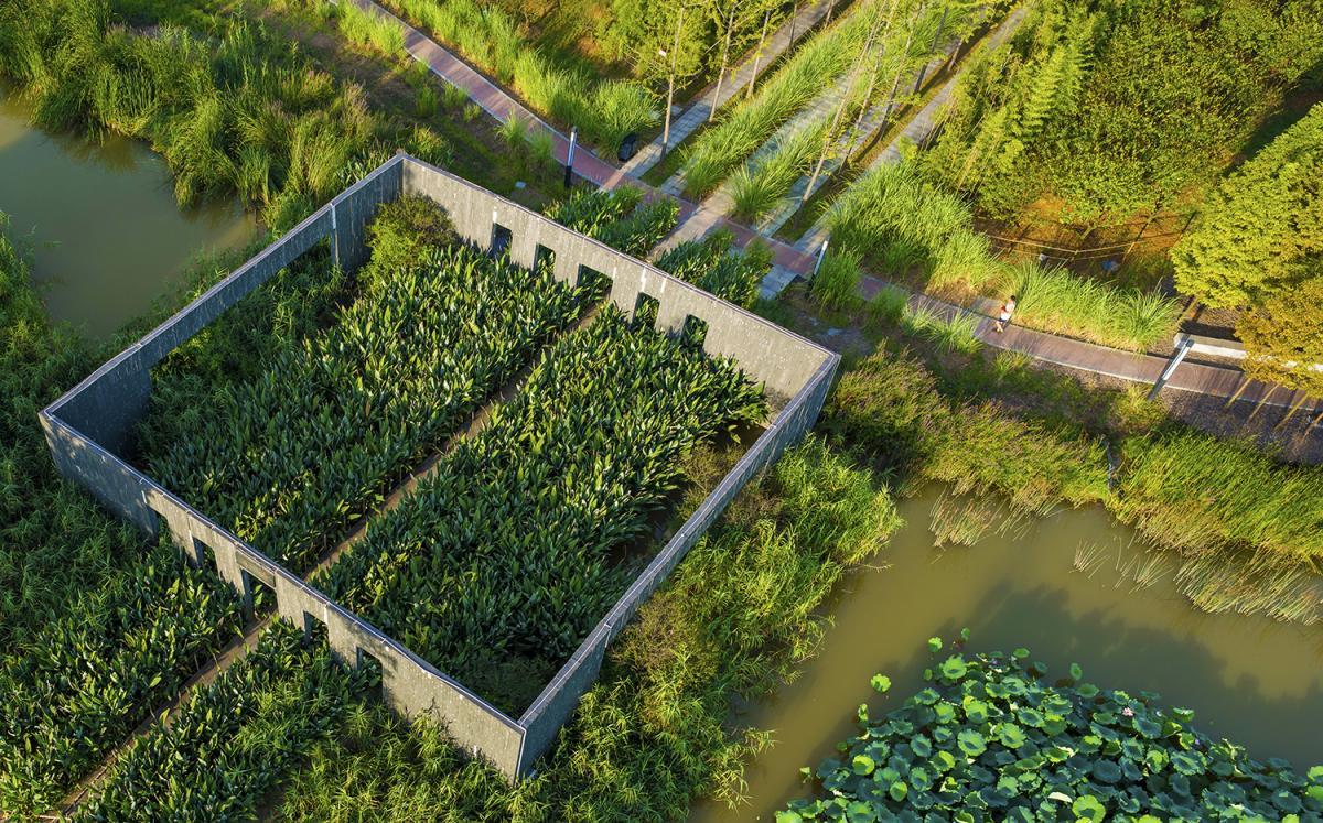 The Mei Garden: Poetic and Picturesque Ecology Turenscape