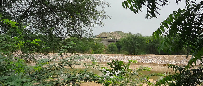 Hathigaon (Housing for Elephants and their Mahouts) RMA Architects