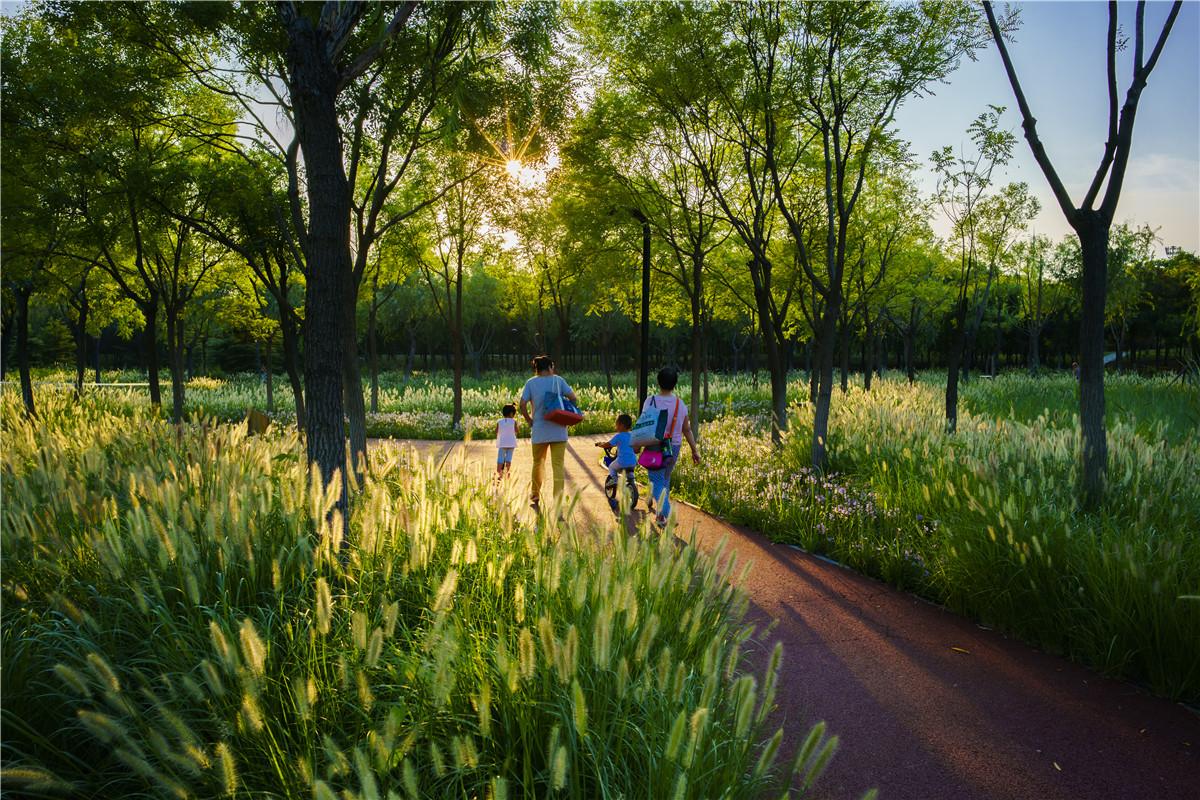 Tianjin Qiaoyuan Park Turenscape