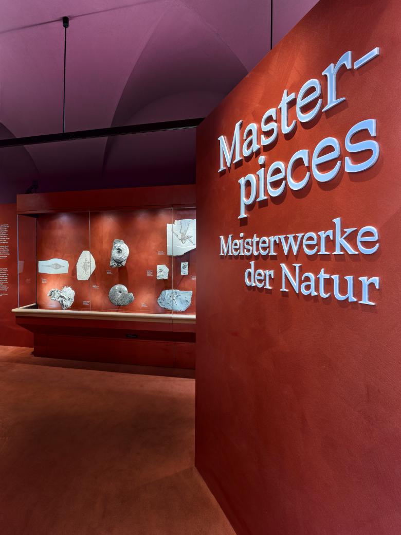 Ausstellung Masterpieces - Meisterwerke der Natur, Zoologisches und ...