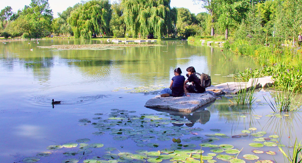 First Nations Garden WAA