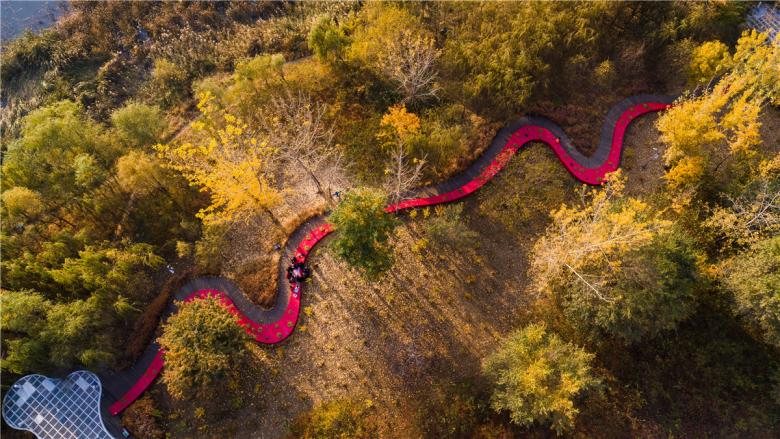 The Red Ribbon — Tanghe River Park Turenscape