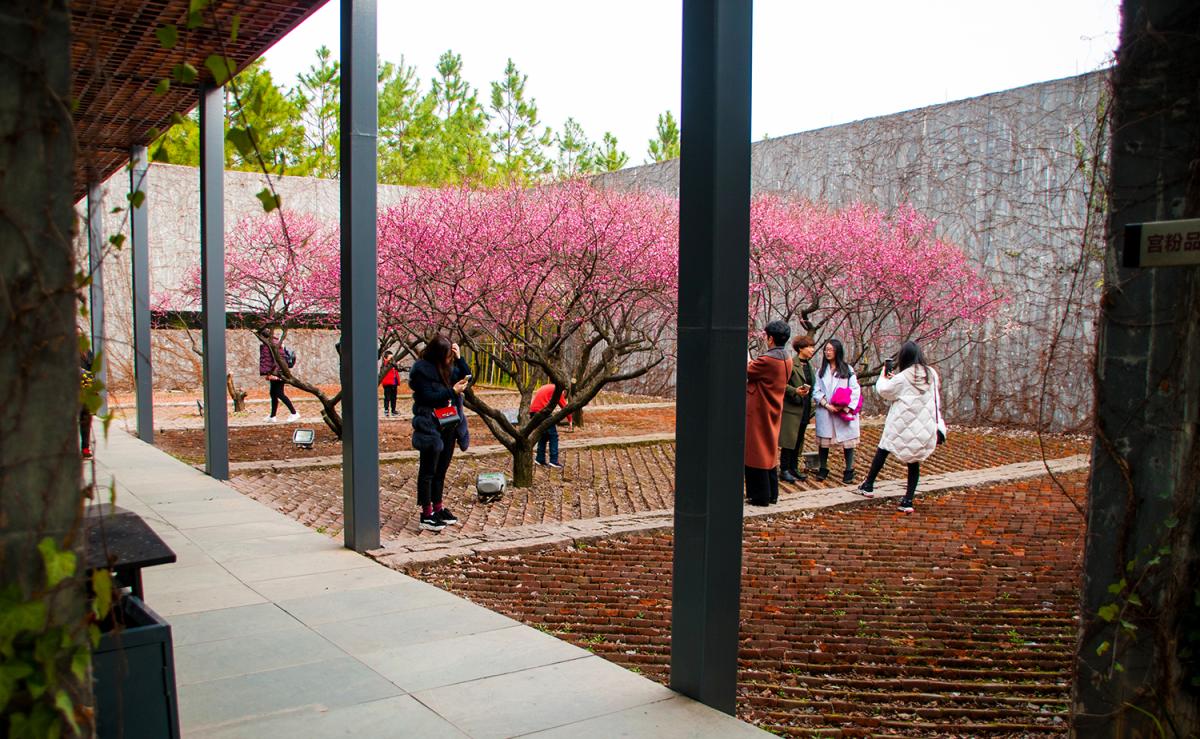 The Mei Garden: Poetic and Picturesque Ecology Turenscape