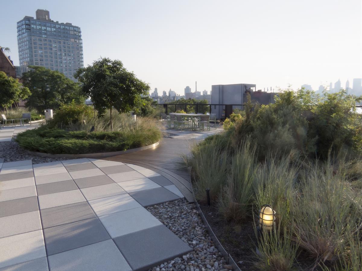 Williamsburg High-Rise Green Roof Starr Whitehouse Landscape Architects ...