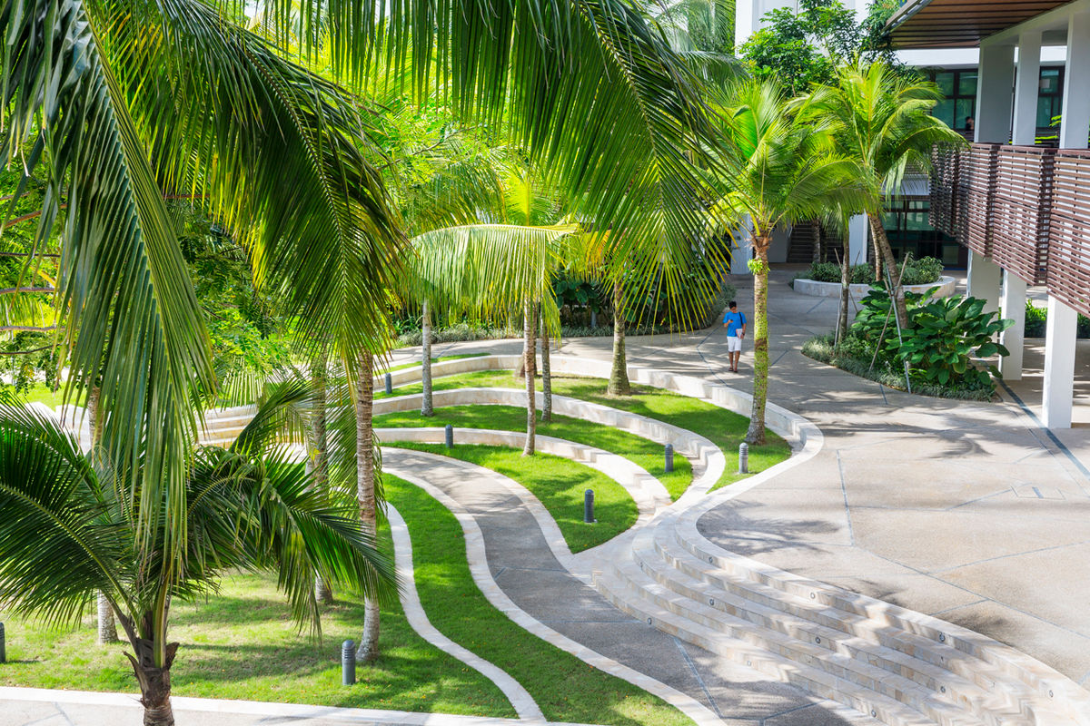 NUS University Town (NUS UTown) STX Landscape Architects