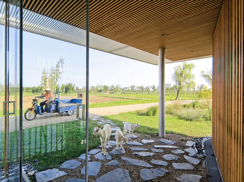 Eco-Farm Series - Harvest Pavilion Vector Architects