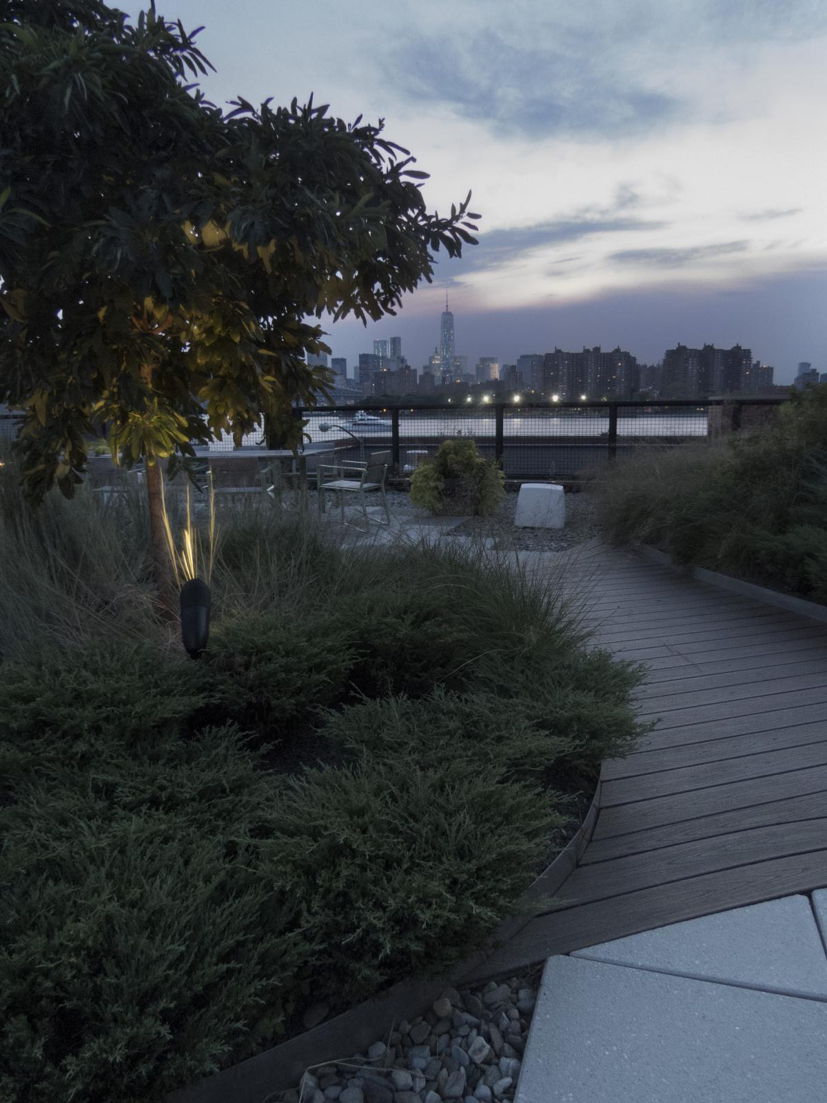 Williamsburg High-Rise Green Roof Starr Whitehouse Landscape Architects ...