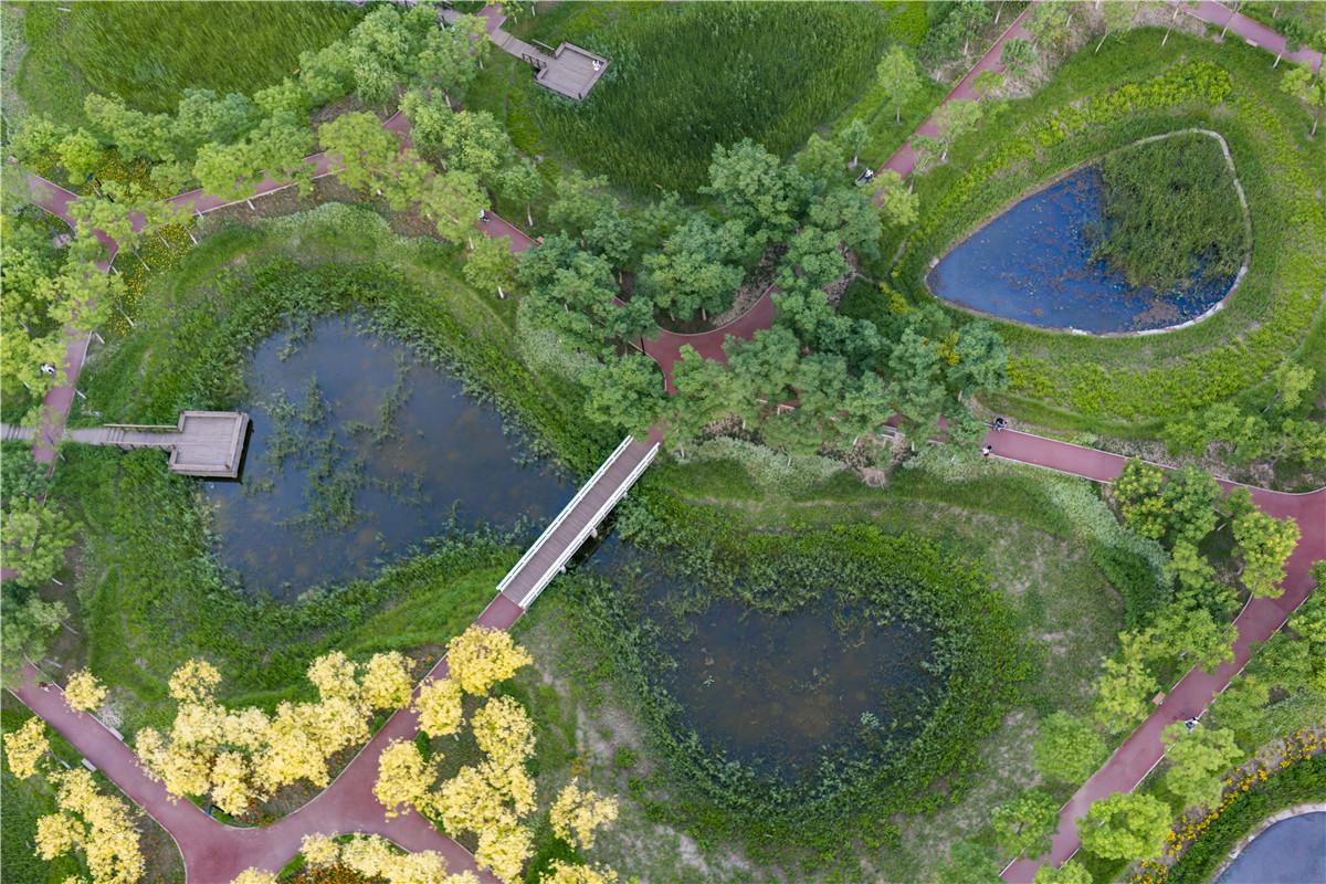 Tianjin Qiaoyuan Park Turenscape