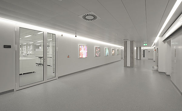 Basel University Hospital Research Laboratory Wirth + Wirth Architects