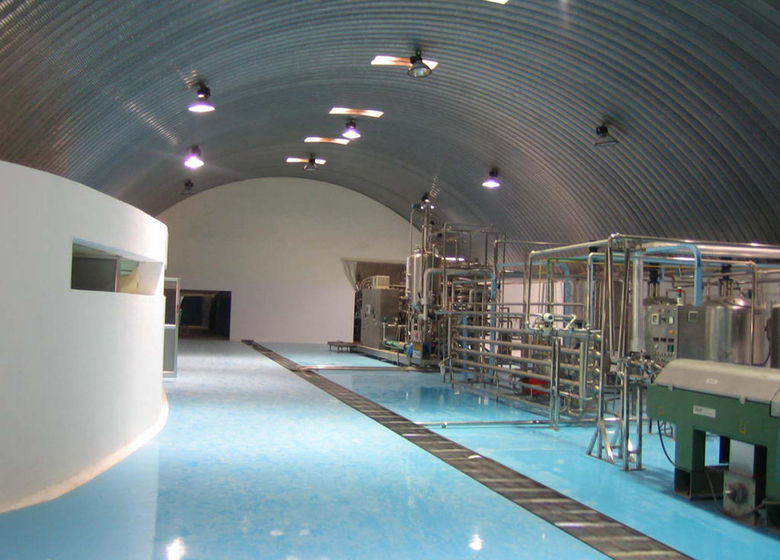 Mango Processing Unit Flying Elephant Studio