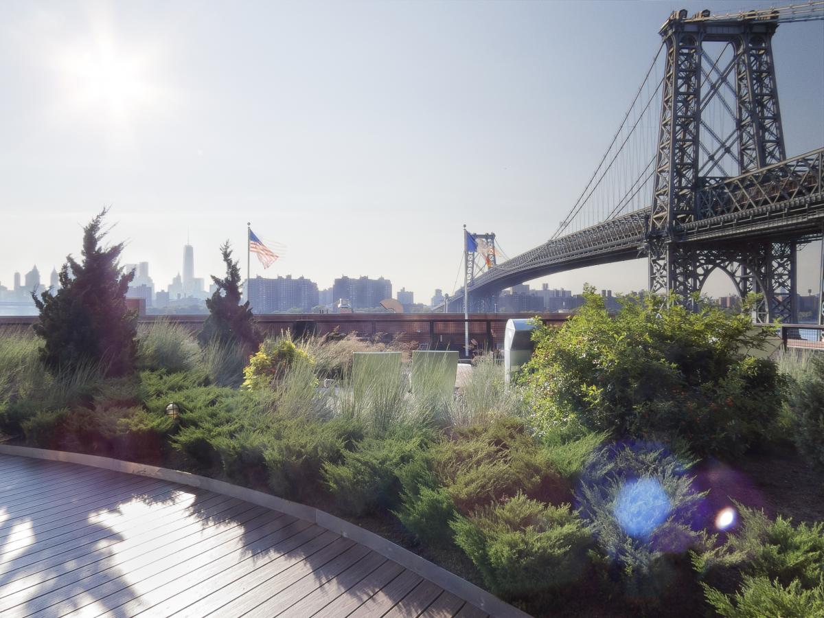 Williamsburg High-Rise Green Roof Starr Whitehouse Landscape Architects ...