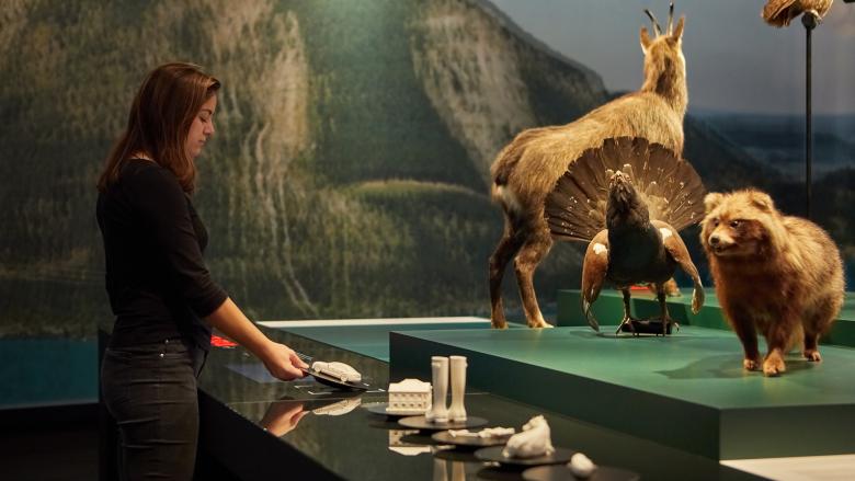 Museum der Bayerischen Geschichte jangled nerves