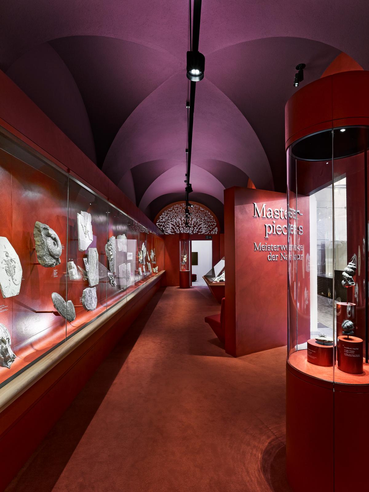 Ausstellung Masterpieces - Meisterwerke der Natur, Zoologisches und ...